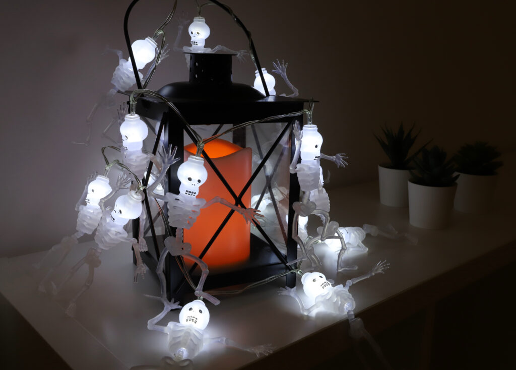 Christmas Concepts® 20 Halloween Skeleton Lights With White LED Lights ...