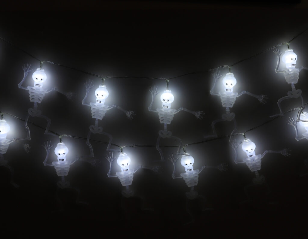 Christmas Concepts® 20 Halloween Skeleton Lights With White LED Lights ...