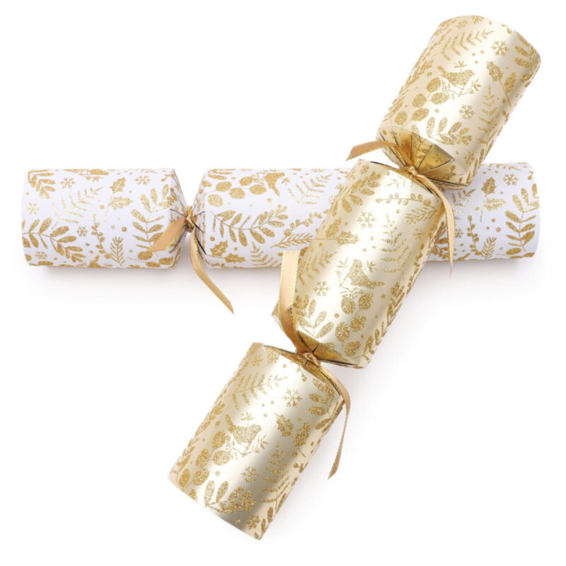 Christmas Concepts® 6 Large Deluxe Glitter Decorated Christmas Crackers ...